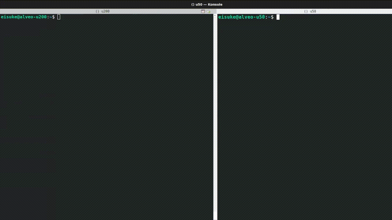 AlveoとCorundumで100GbE NIC作成 | eisuke::log()